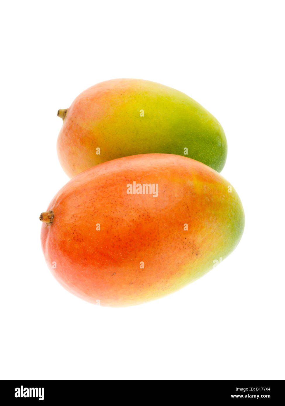 Mangoes fruits Cut Out Stock Images & Pictures - Alamy