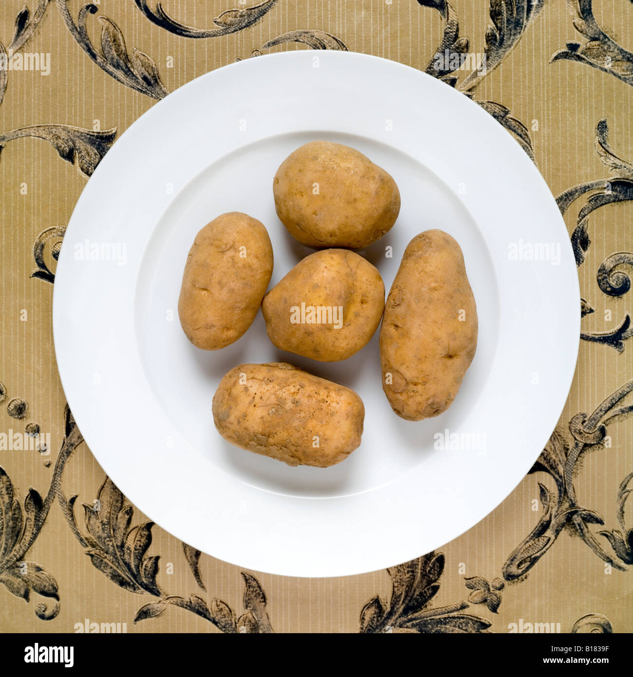 Food plate above series hi-res stock photography and images - Alamy