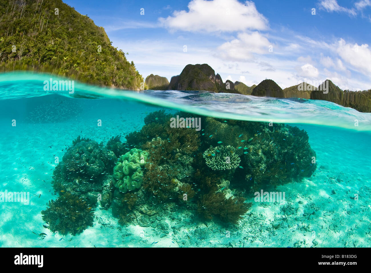 Coral reef and islands split image Wayag Raja Ampat Indonesia Stock ...