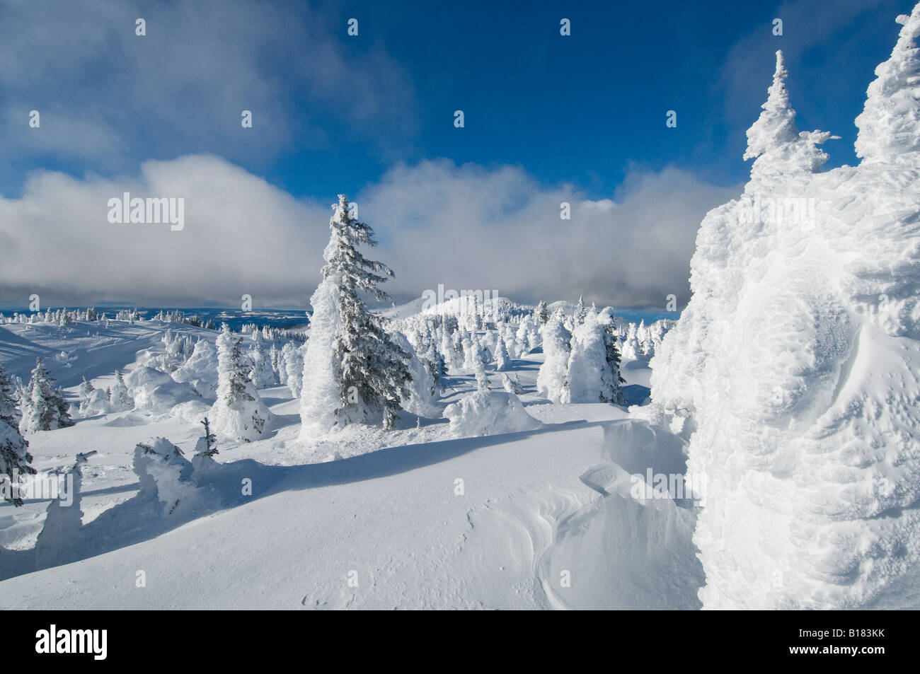 Snow ghosts ski hi-res stock photography and images - Alamy
