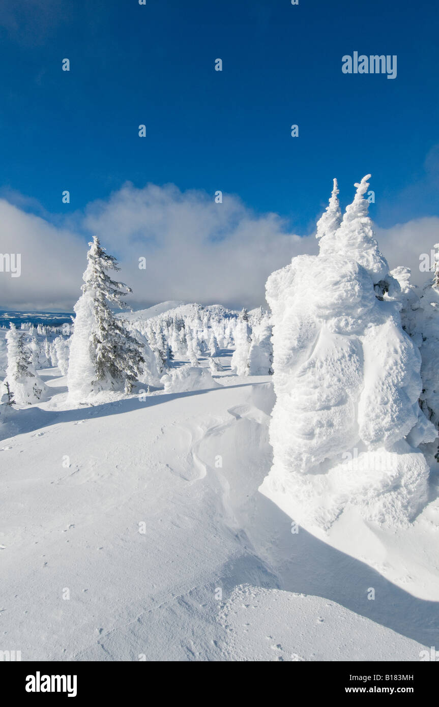 Snow ghosts ski hi-res stock photography and images - Alamy
