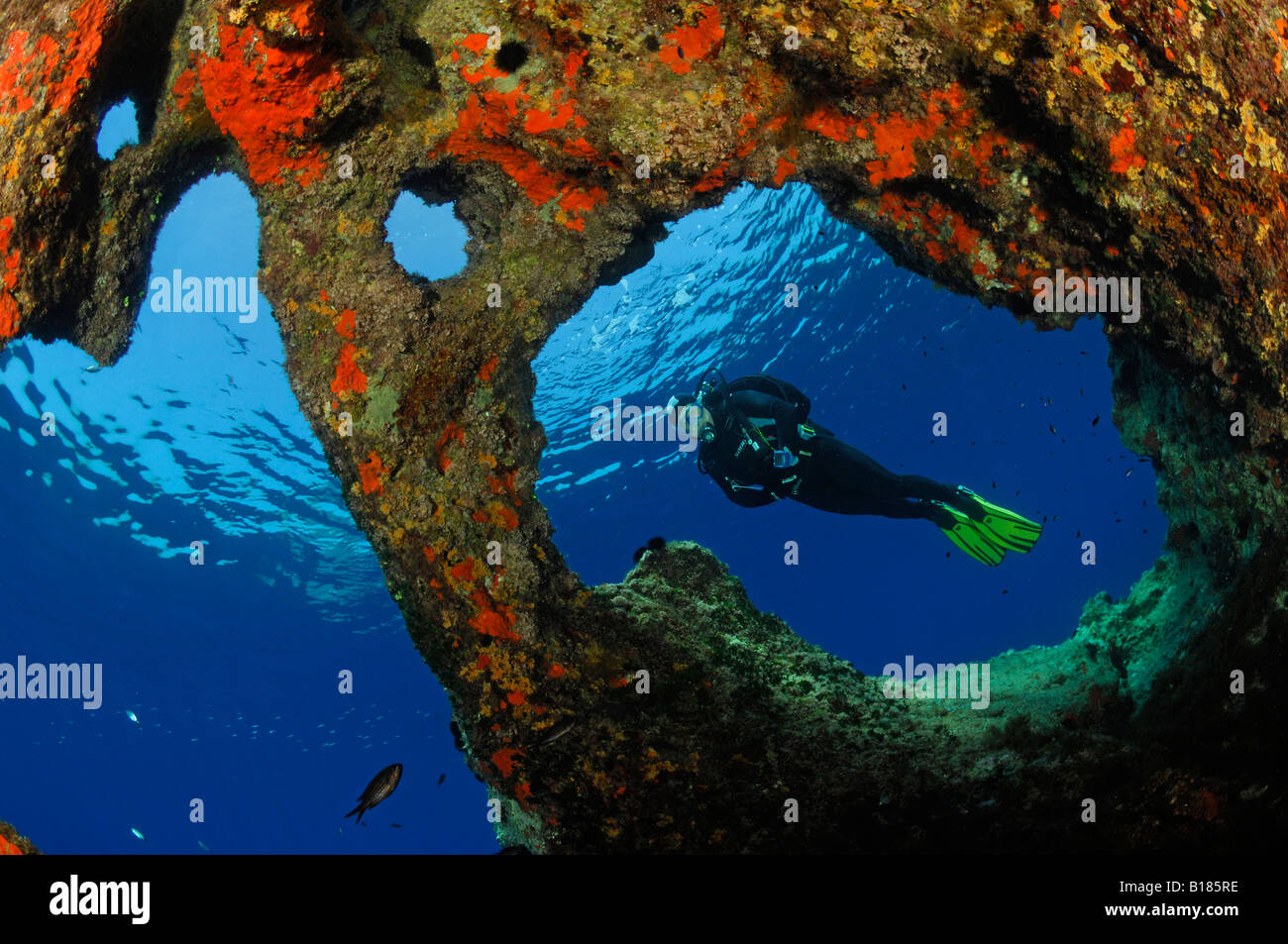 Diver at Reef Debri Bok Bay Susac Island Adriatic Sea Croatia Stock ...