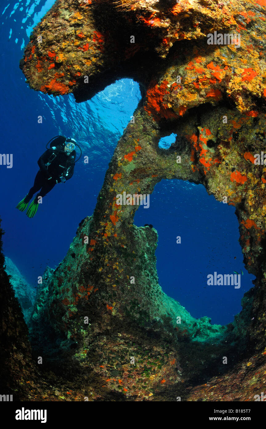 Diver at Reef Debri Bok Bay Susac Island Adriatic Sea Croatia Stock ...