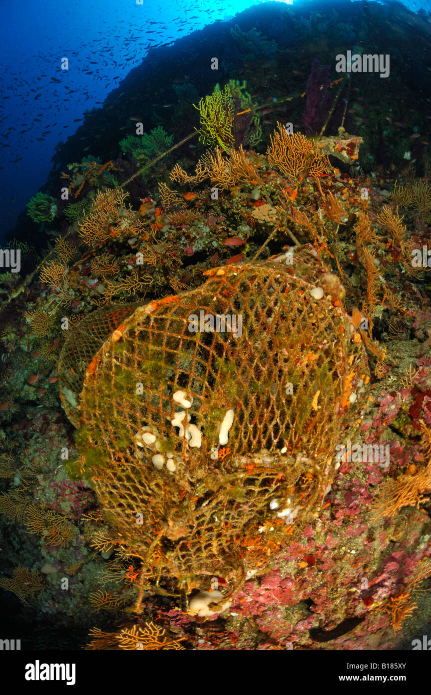 Old Fish Trap at Coral Reef Triscavac Bay Susac Island Adriatic Sea ...