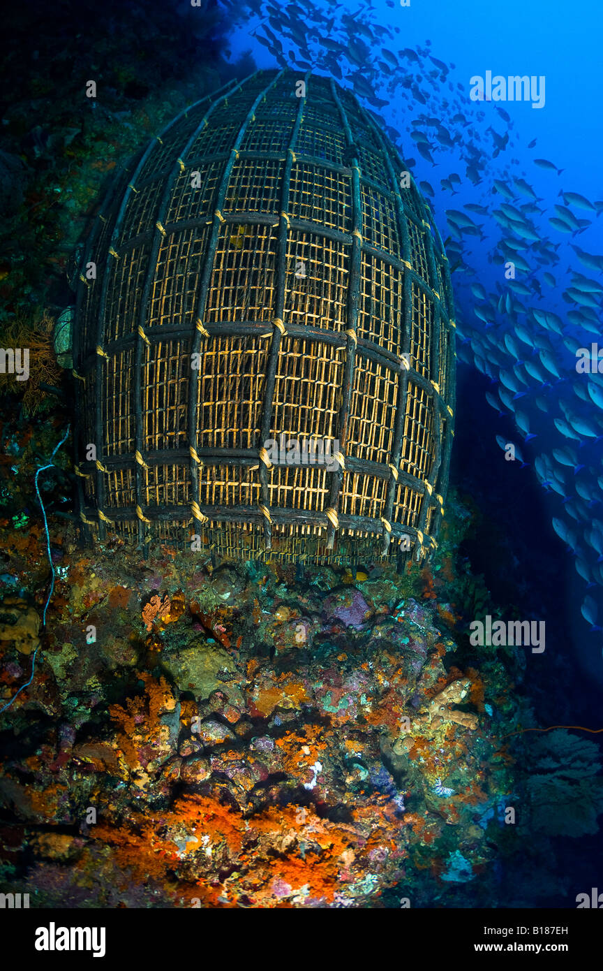Deep trap hi-res stock photography and images - Alamy