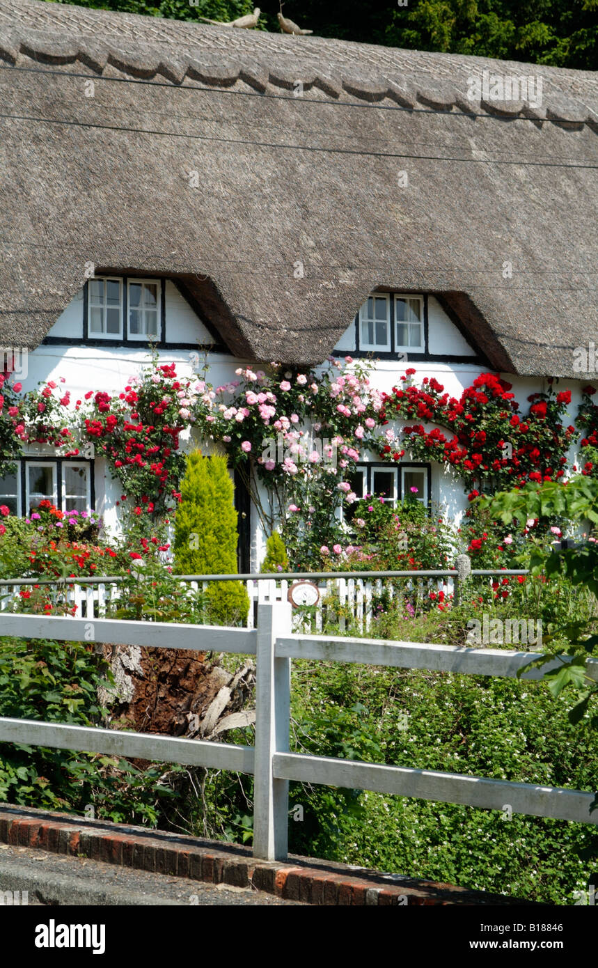 English country thatched cottage in Hampshire England UK Stock Photo ...
