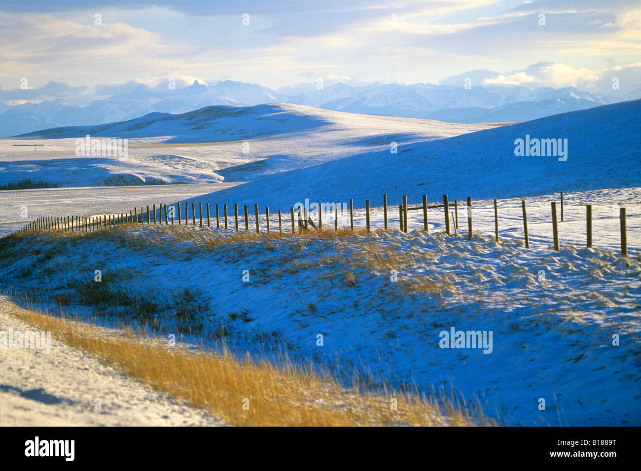 Longview in winter, Cowboy Trail, Alberta, Canada Stock Photo - Alamy