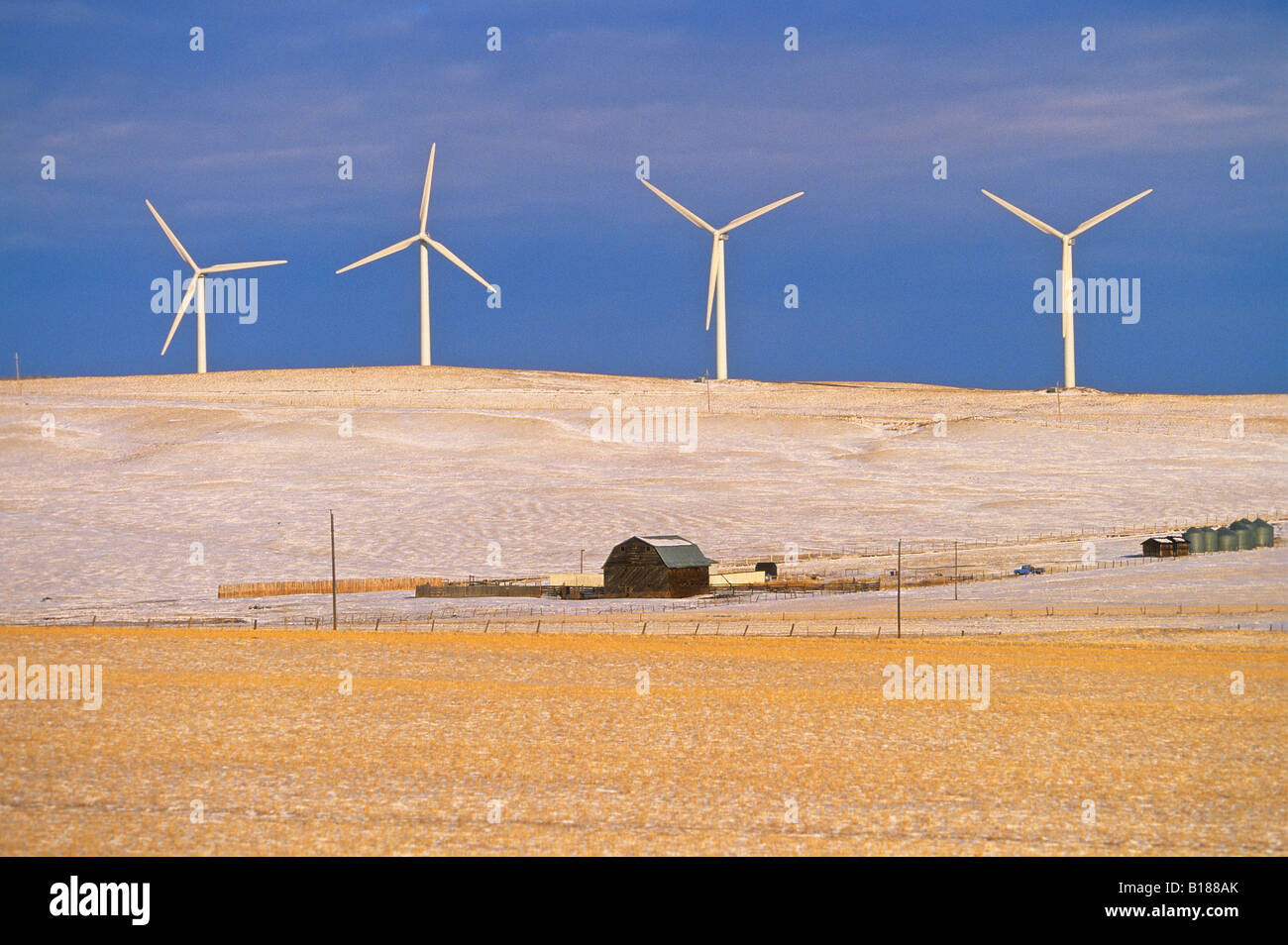 Windmills and barn in winter, Pincher Creek, Alberta, Canada, wind ...