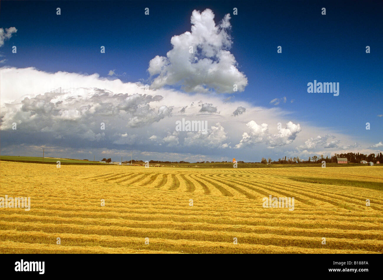 Olds alberta hi-res stock photography and images - Alamy