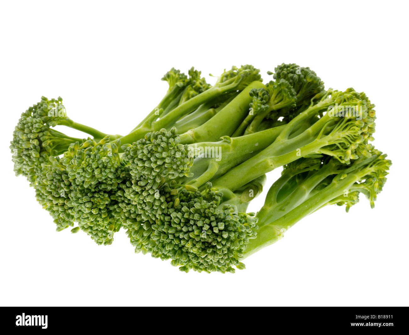 Bunch Of Fresh Raw Green Healthy Tenderstem Broccoli Vegetables Ready ...