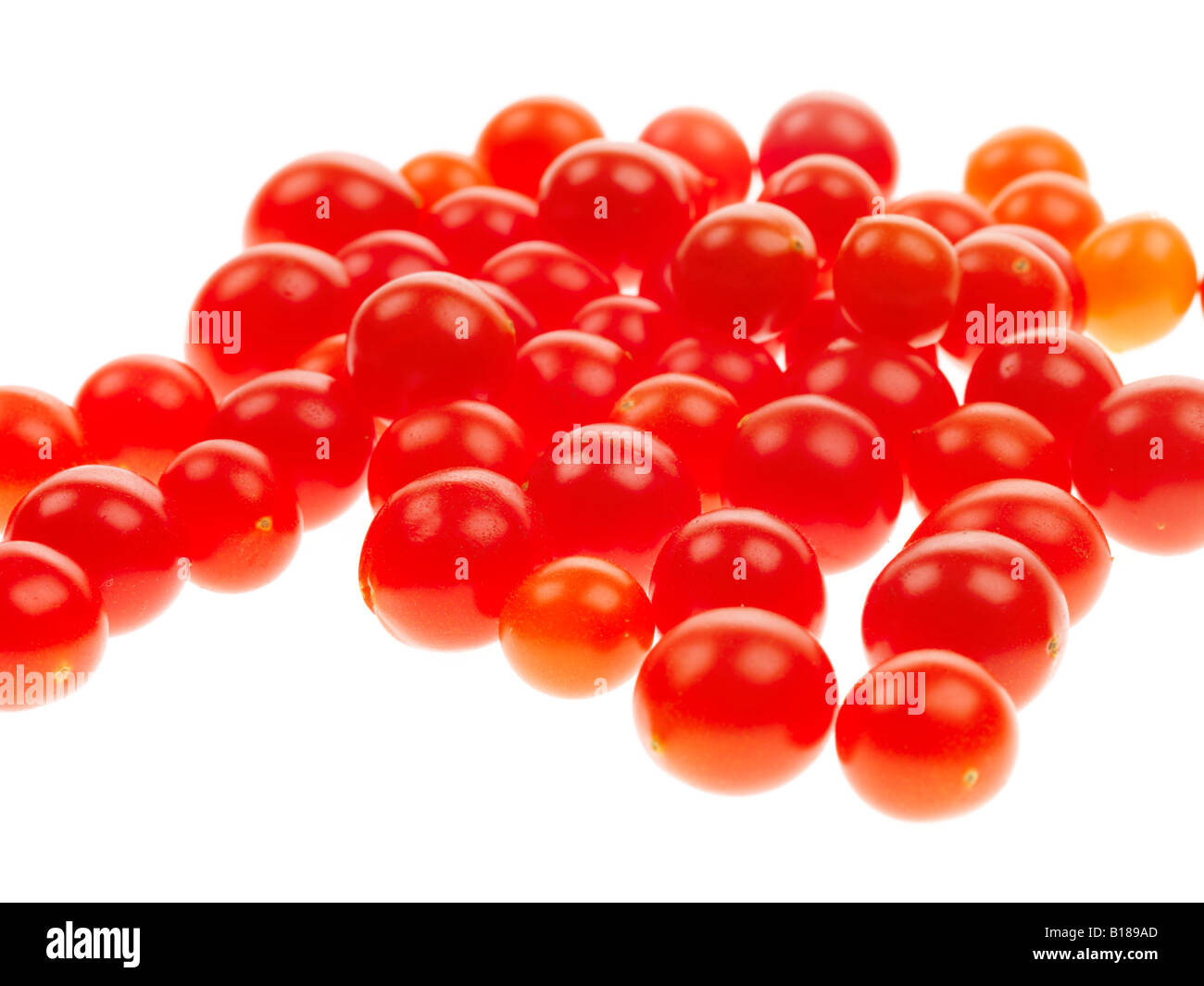 Tom Toms Tomatoes Stock Photo - Alamy