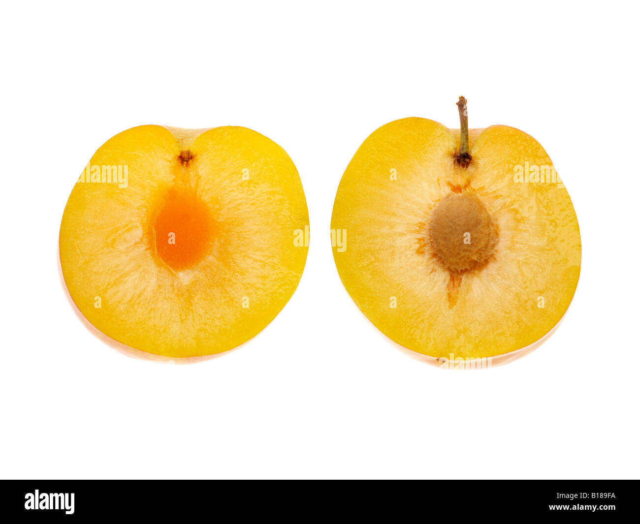 Fresh Ripe Juicy Yellow Plum Isolated Against A White Background With ...
