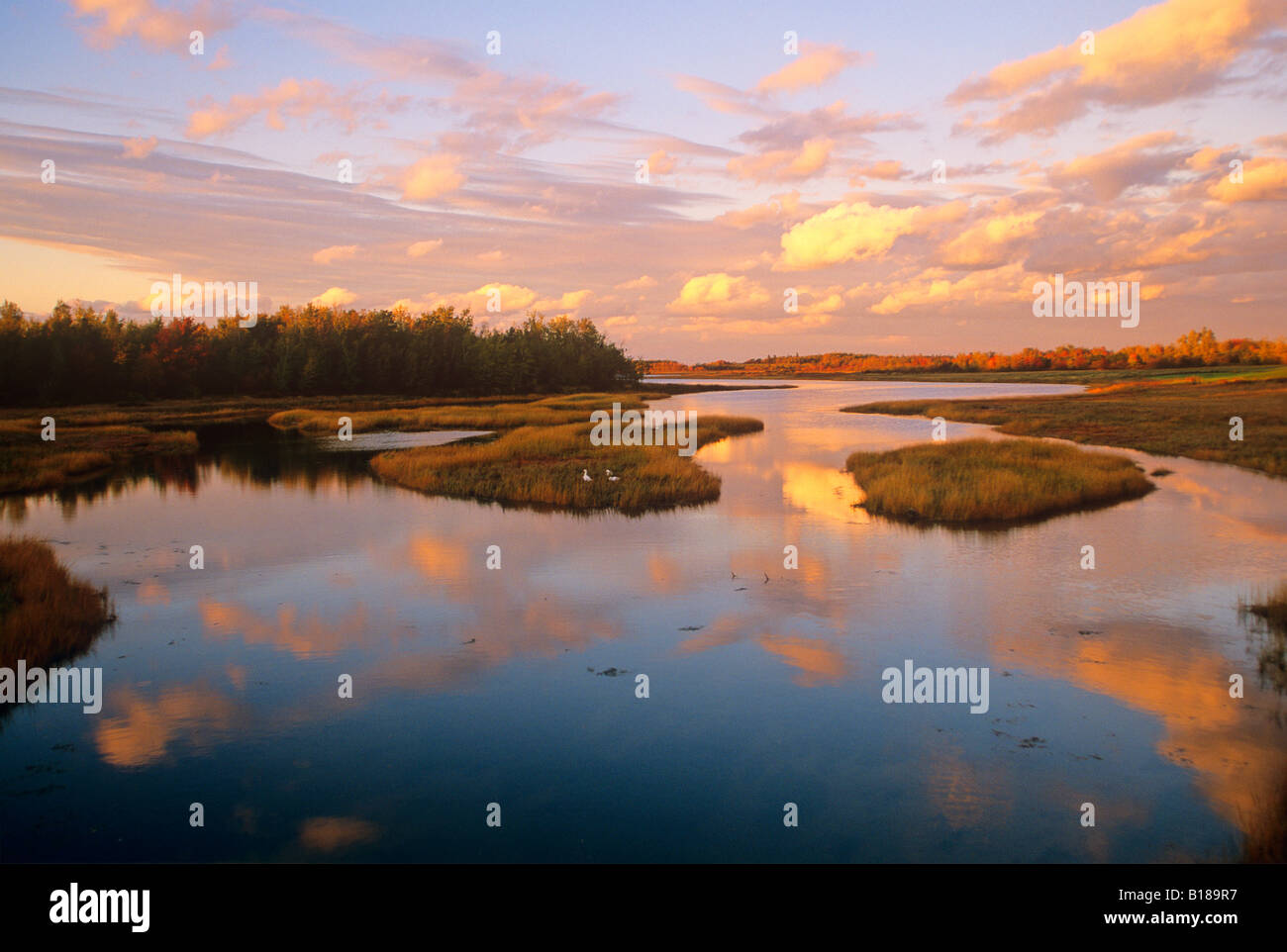 Cap-Pele, New Brunswick, Canada, Fall, River, geese, clouds, reflection ...
