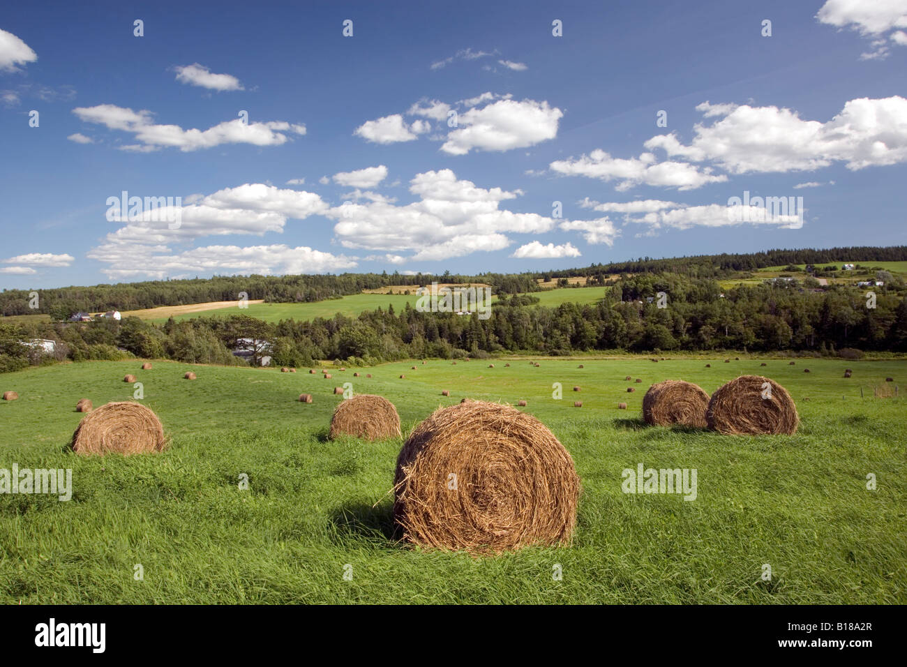 Baled hay, Norton, New Brunswick, Canada, Agriculture Stock Photo - Alamy
