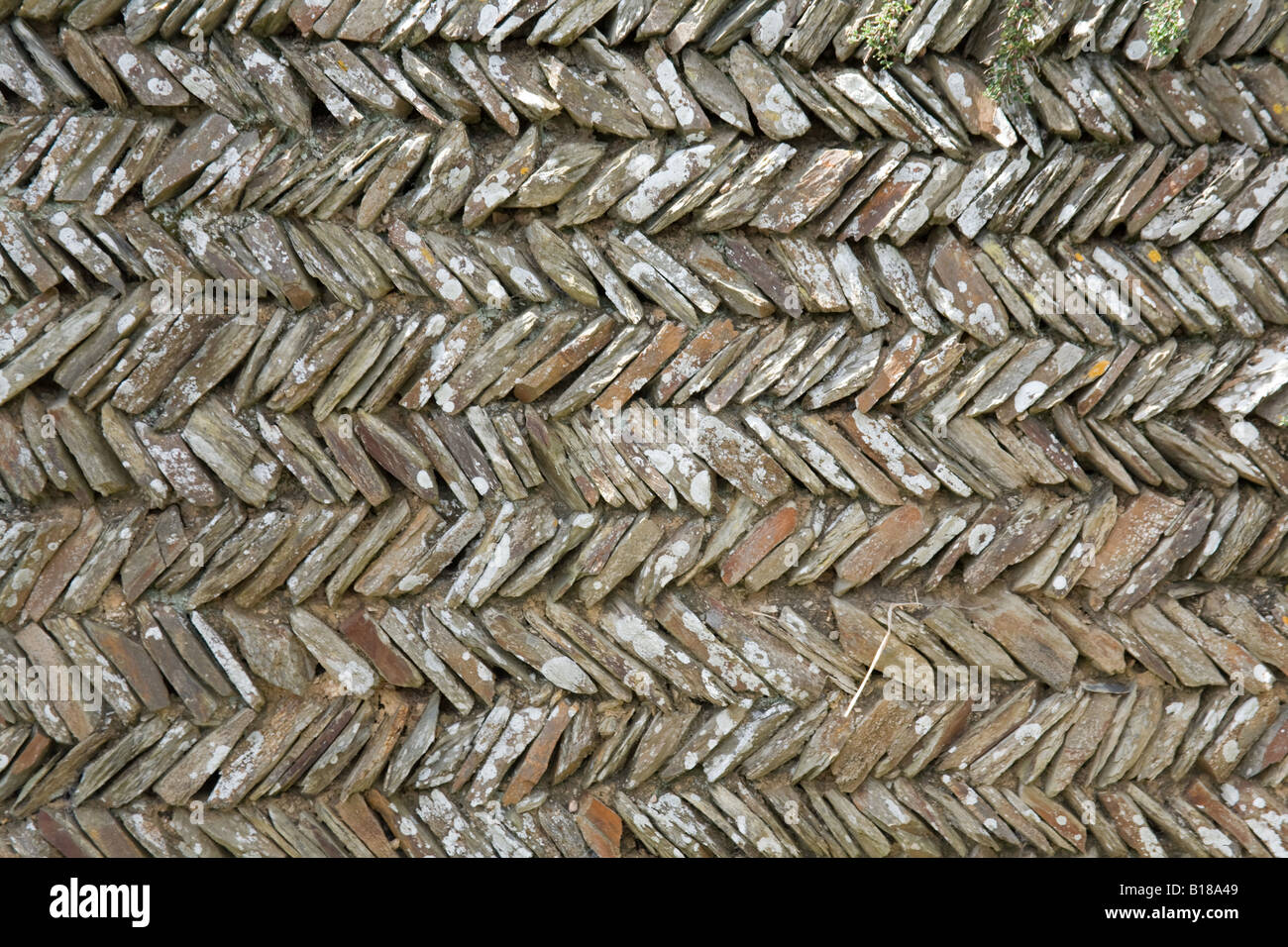 Traditional stone walling St Mawes Cornwall England Stock Photo - Alamy