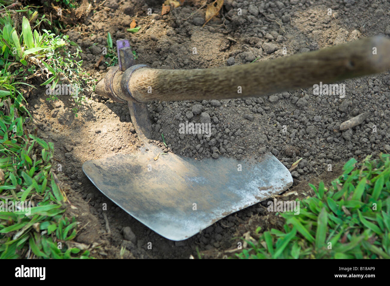 Closeup of Indian gardening hoe Stock Photo - Alamy