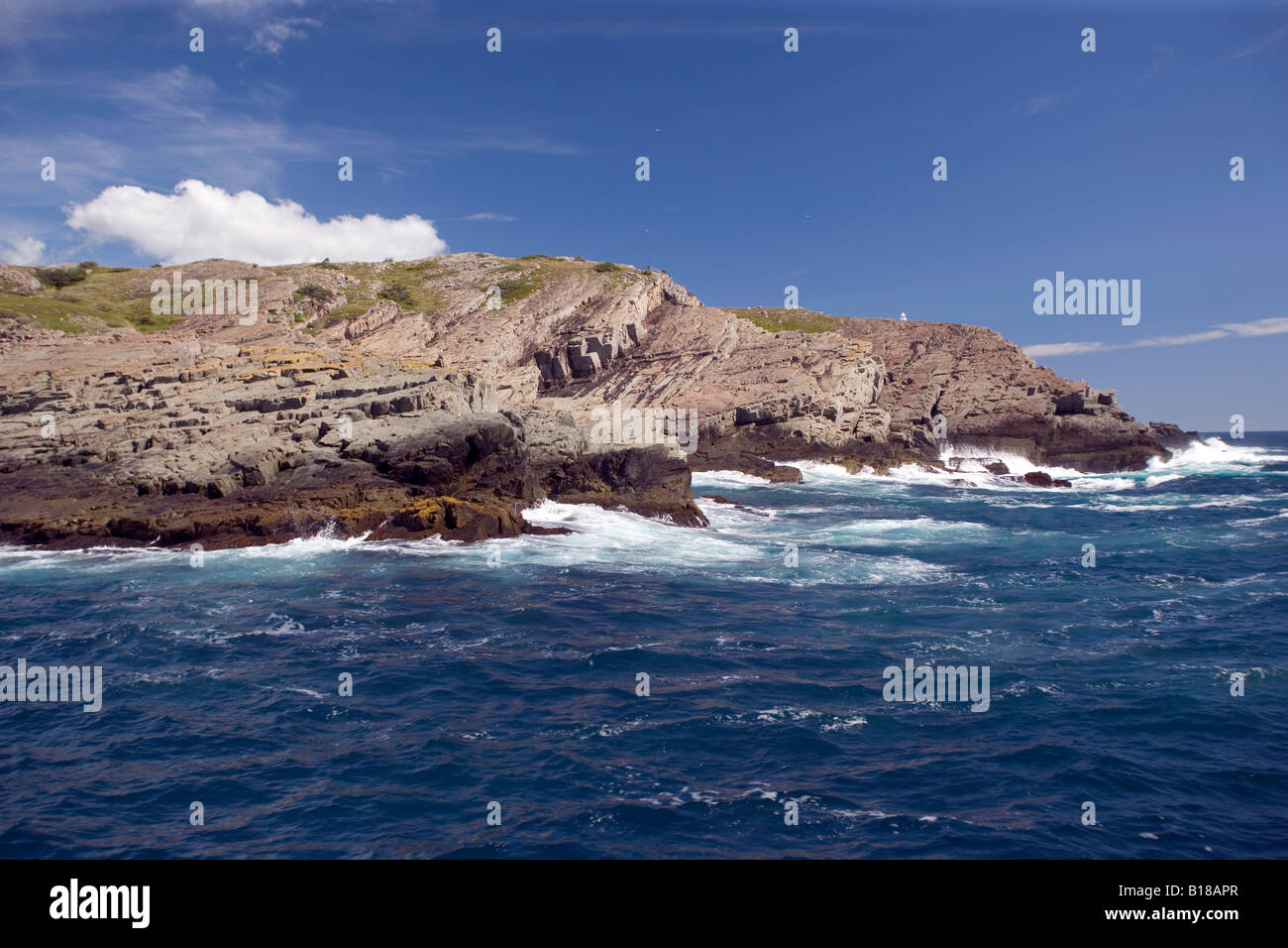 Witless Bay Ecological Reserve, Newfoundland, Canada Stock Photo - Alamy