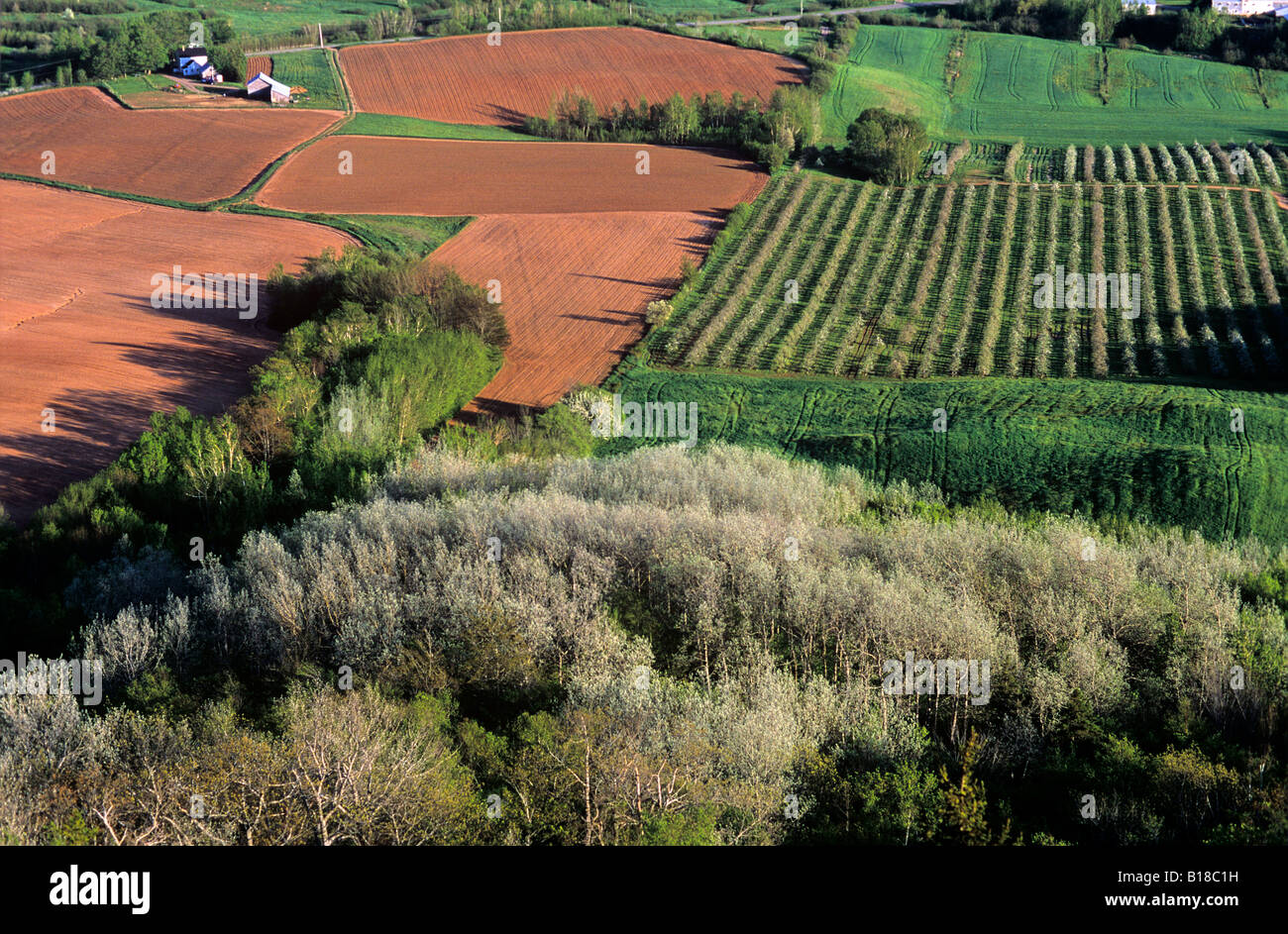 View of Apple orchard and farms in spring from theBlomidon Lookout ...