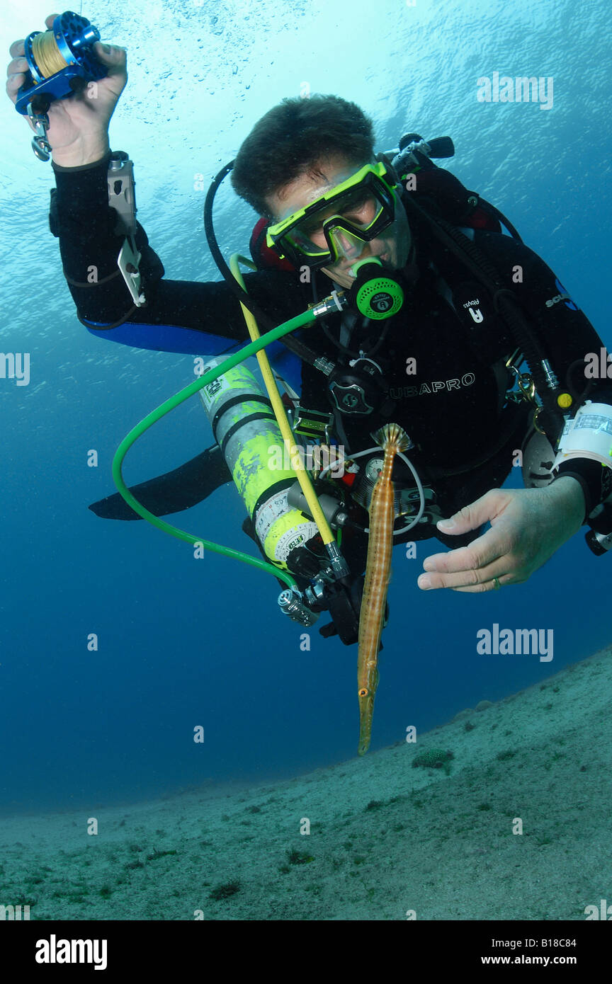 Tek diver hi-res stock photography and images - Alamy