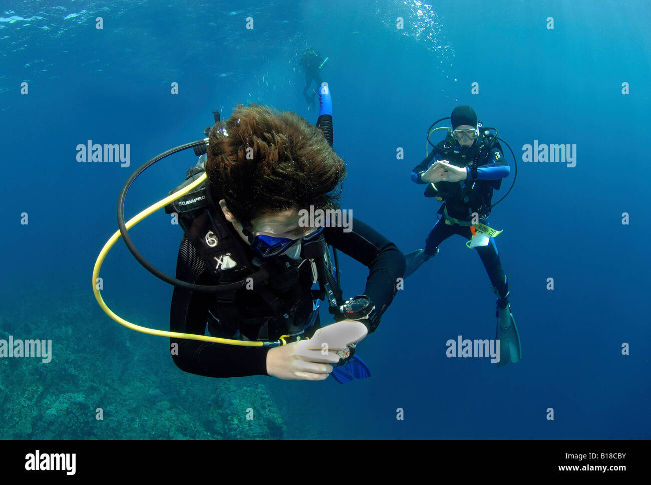 Dive computer hi-res stock photography and images - Alamy