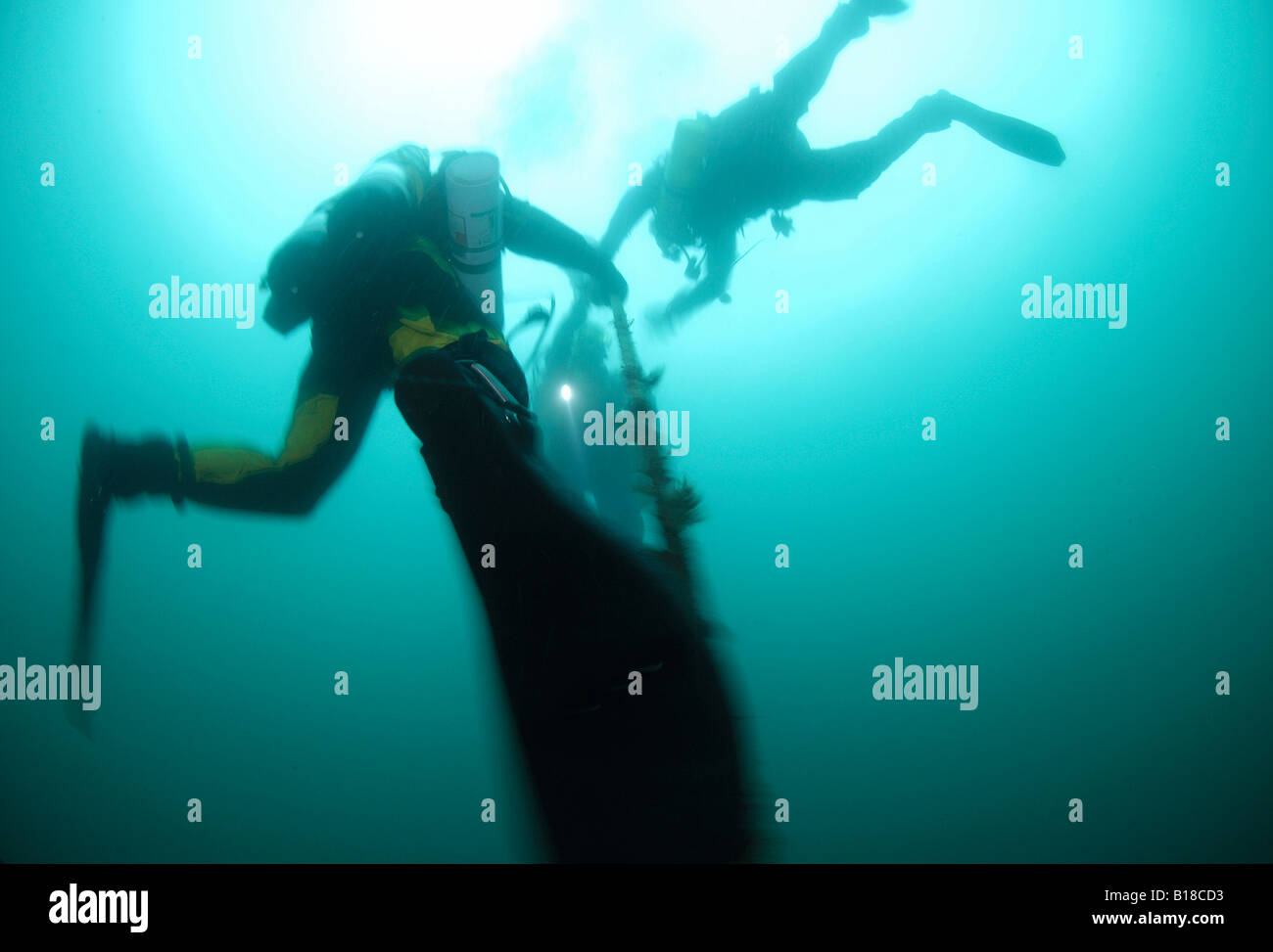 Marine stop hi-res stock photography and images - Alamy