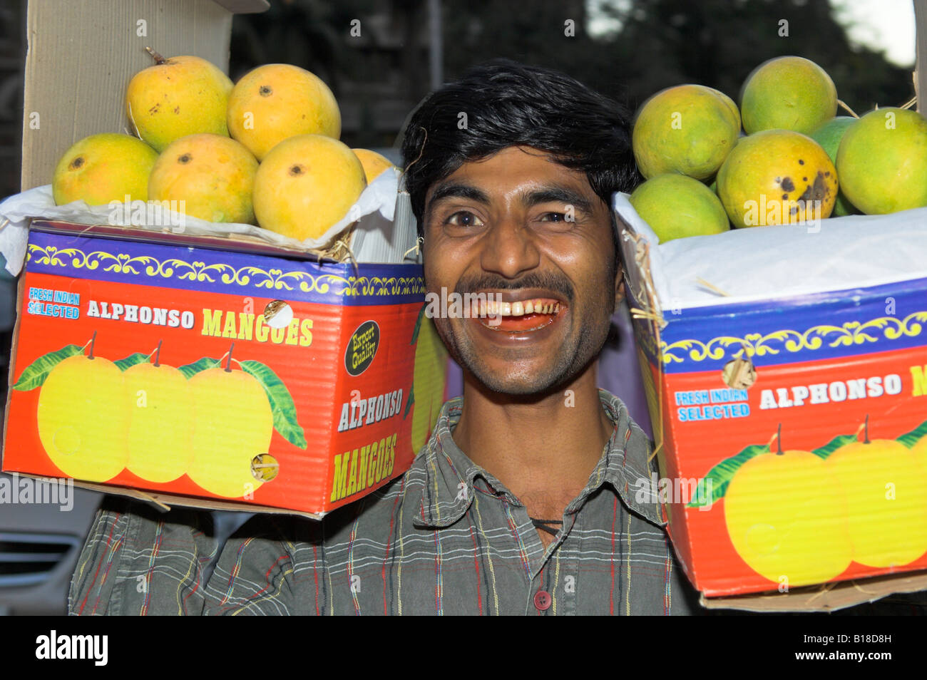 Man selling mangos from boxes he is carrying Mumbai Bombay India Stock ...