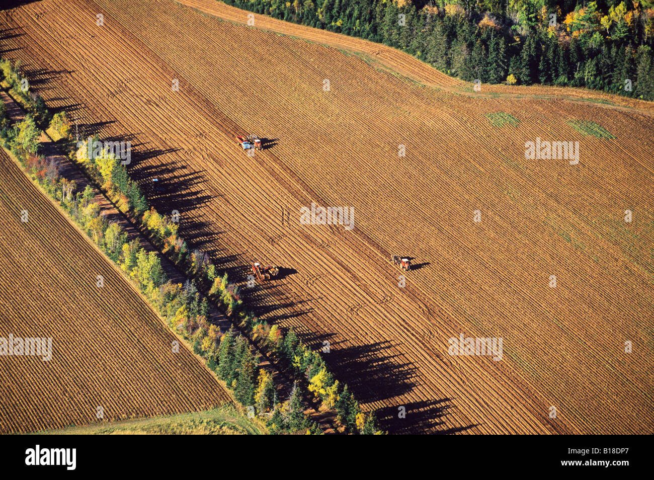 Aerial of potato fields hi-res stock photography and images - Alamy