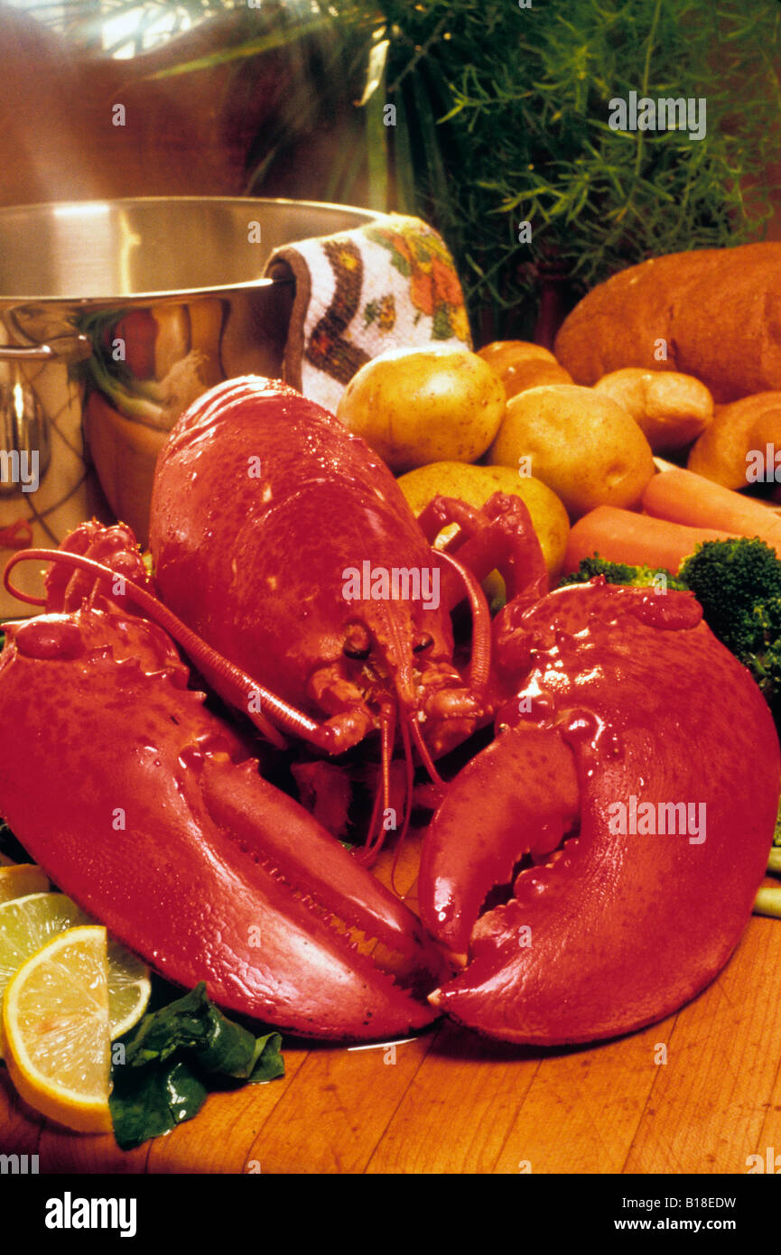 Red canadian cooked lobster hi-res stock photography and images - Alamy