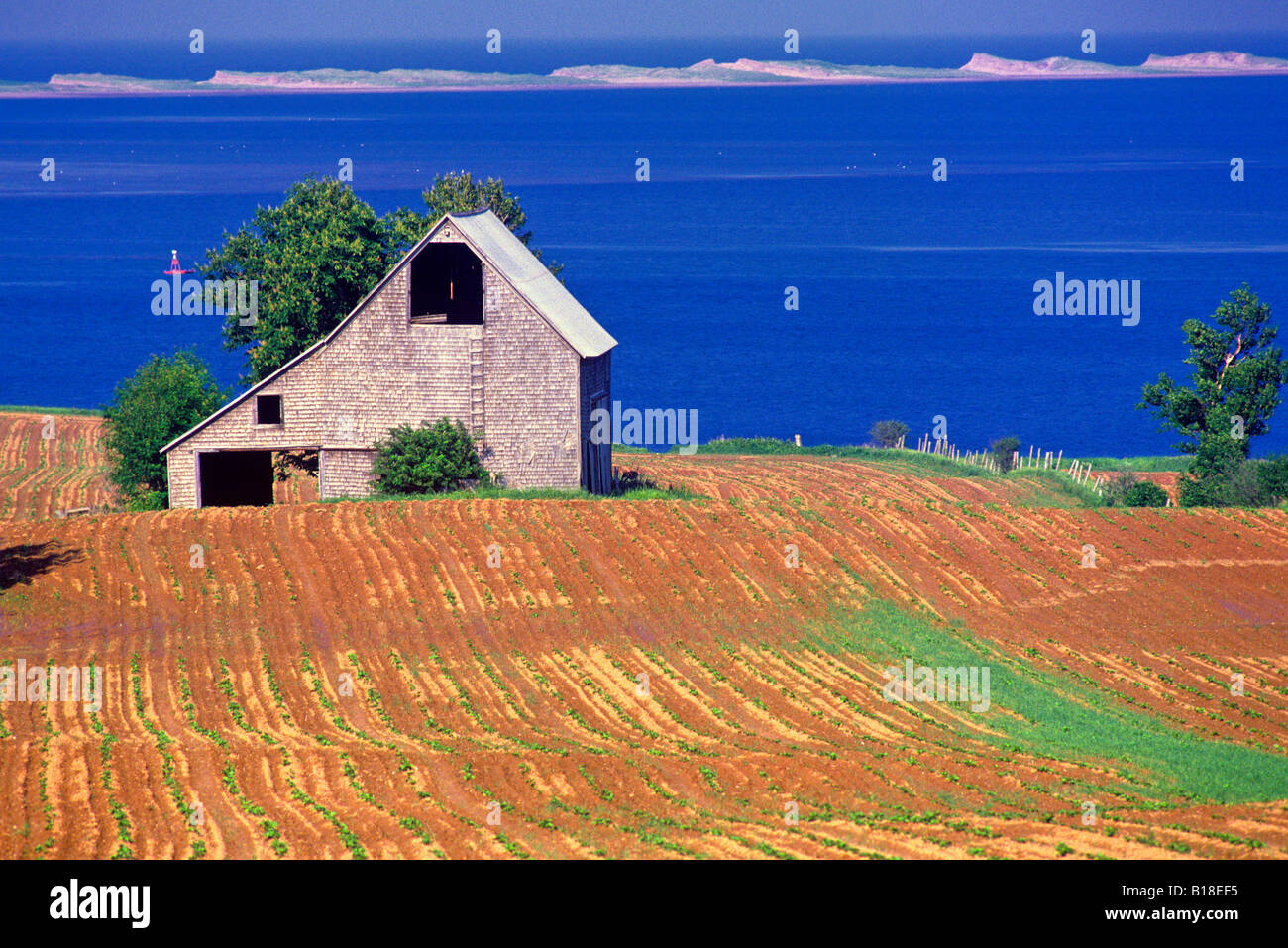 Springbrook prince edward island canada hi-res stock photography and ...