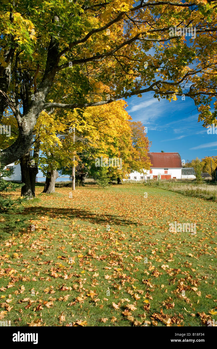 Barn and Fall Foliage, Huntly, Prince Edward Island, Canada Stock Photo ...