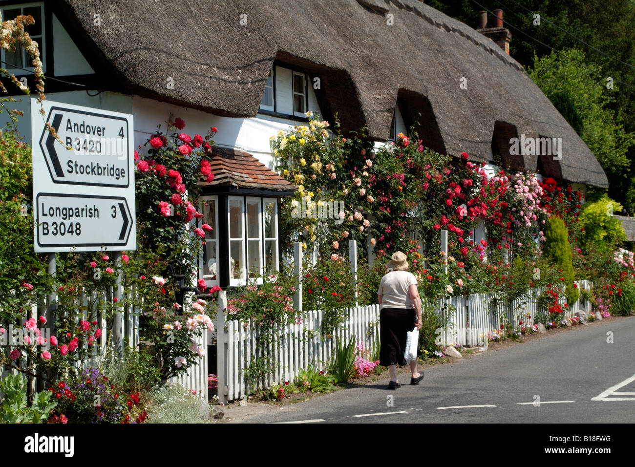 English country thatched cottage in Hampshire England UK with roses ...