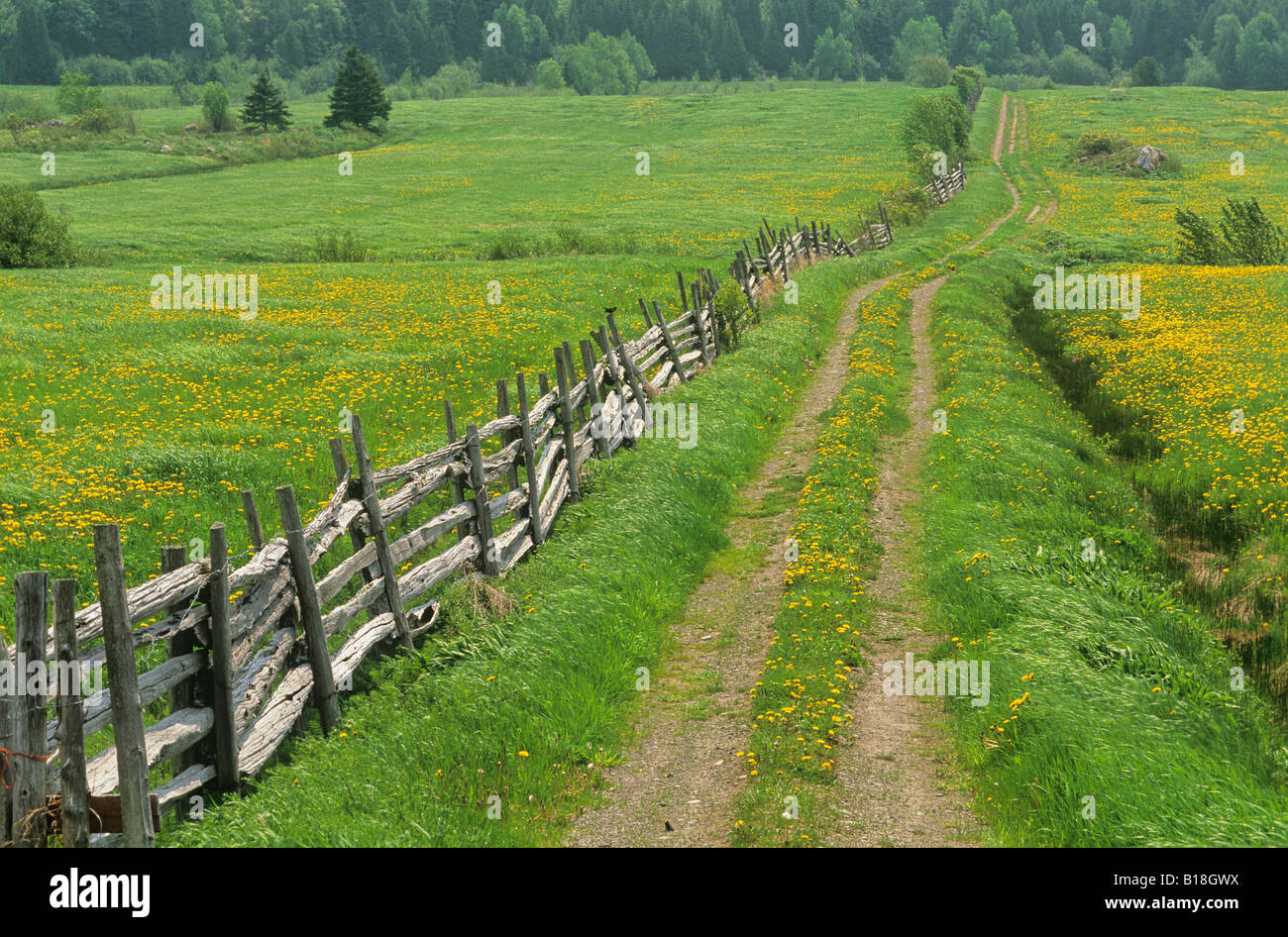 Rail Fence, St-Andre, Quebec, Canada Stock Photo - Alamy