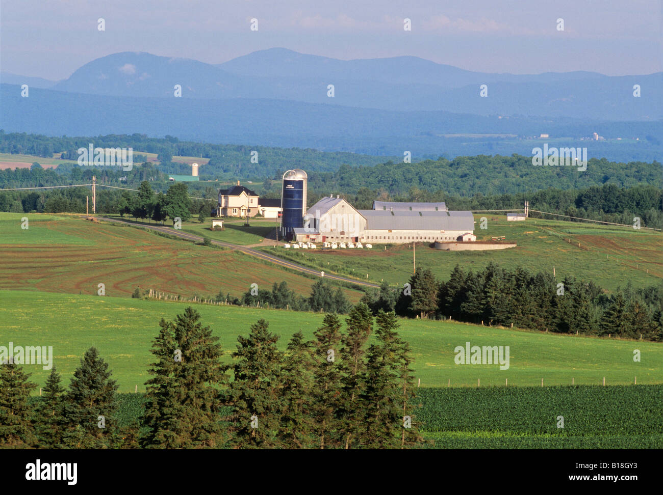 Barns Quebec Farms Agriculture High Resolution Stock Photography and ...