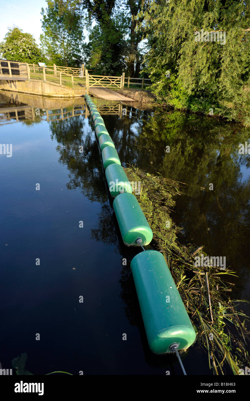 weed boom collecting weed on river Waveney at Ellingham on Norfolk ...