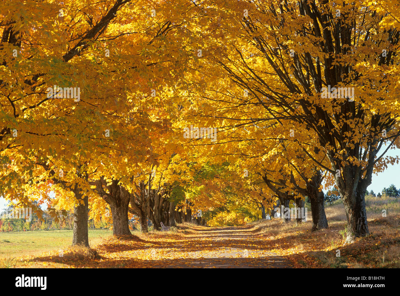 Kentville Stock Photos & Kentville Stock Images - Alamy