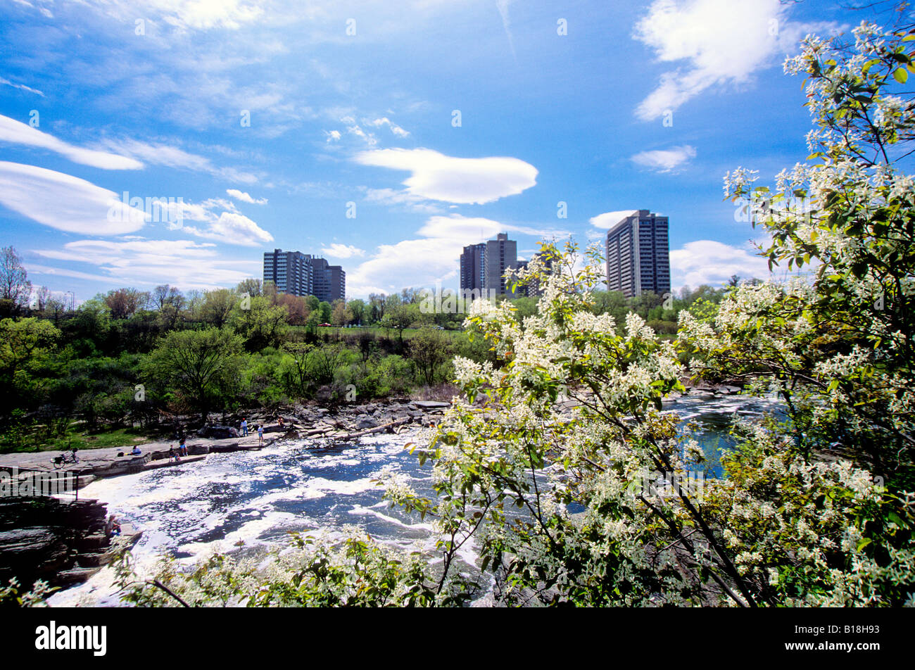 Hog's Back Park, Ottawa, Ontario, Canada Stock Photo - Alamy