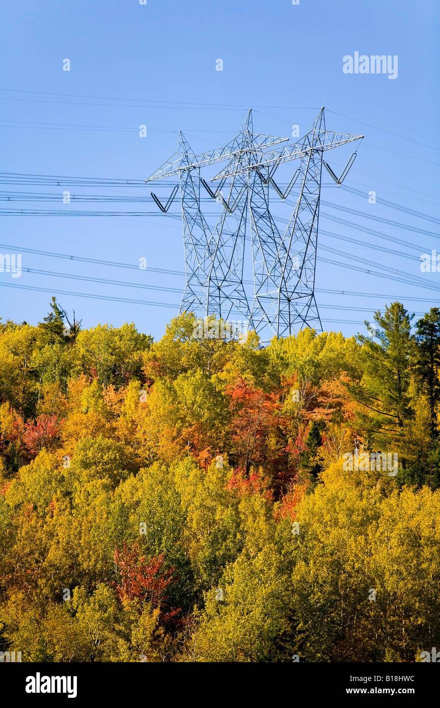 hydroelectric towers above fall coloured leaves, Charlevois, Quebec ...