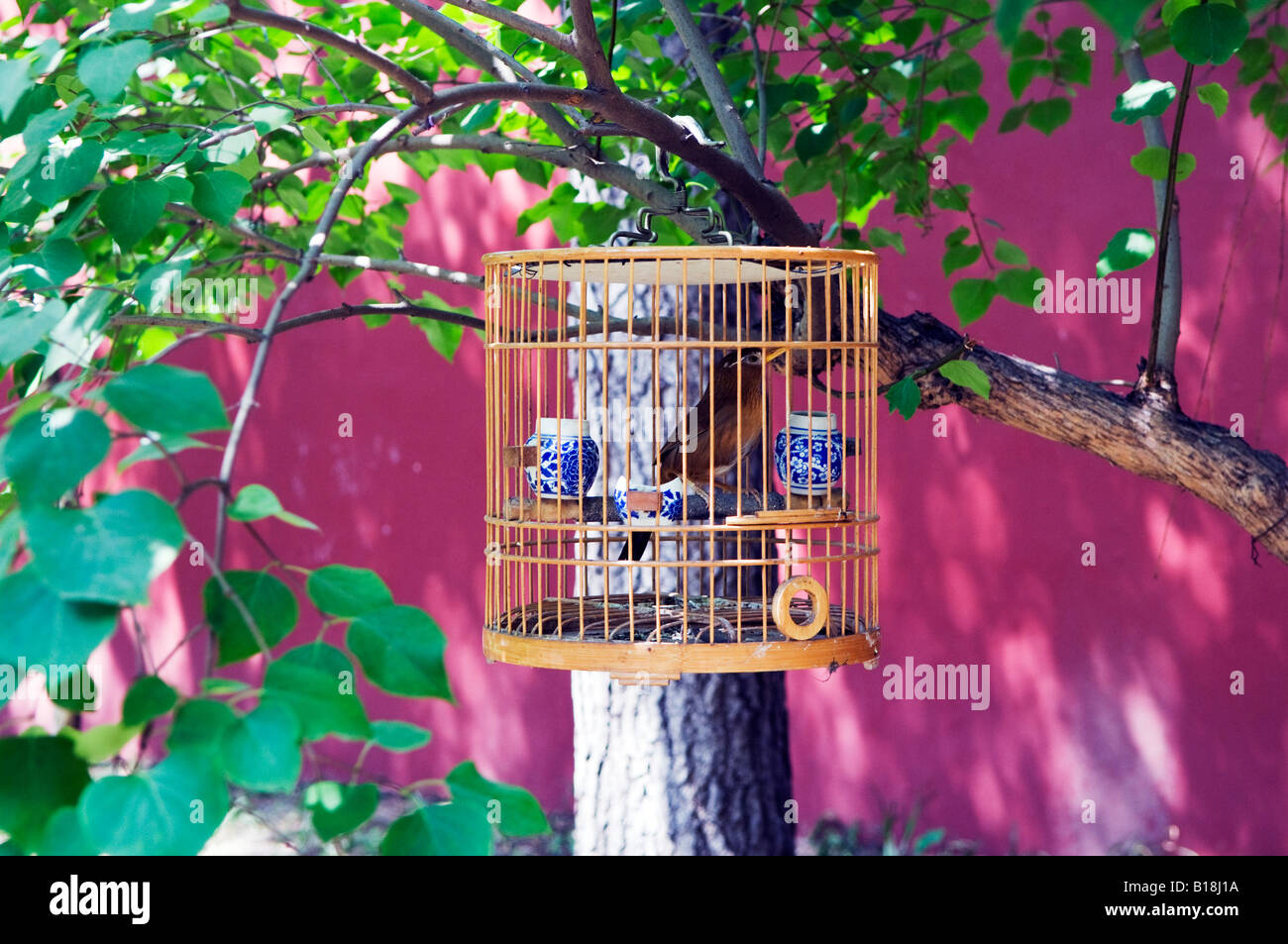 China Beijing Jingshan Park Bird Fanciers Bird Cage Stock Photo - Alamy