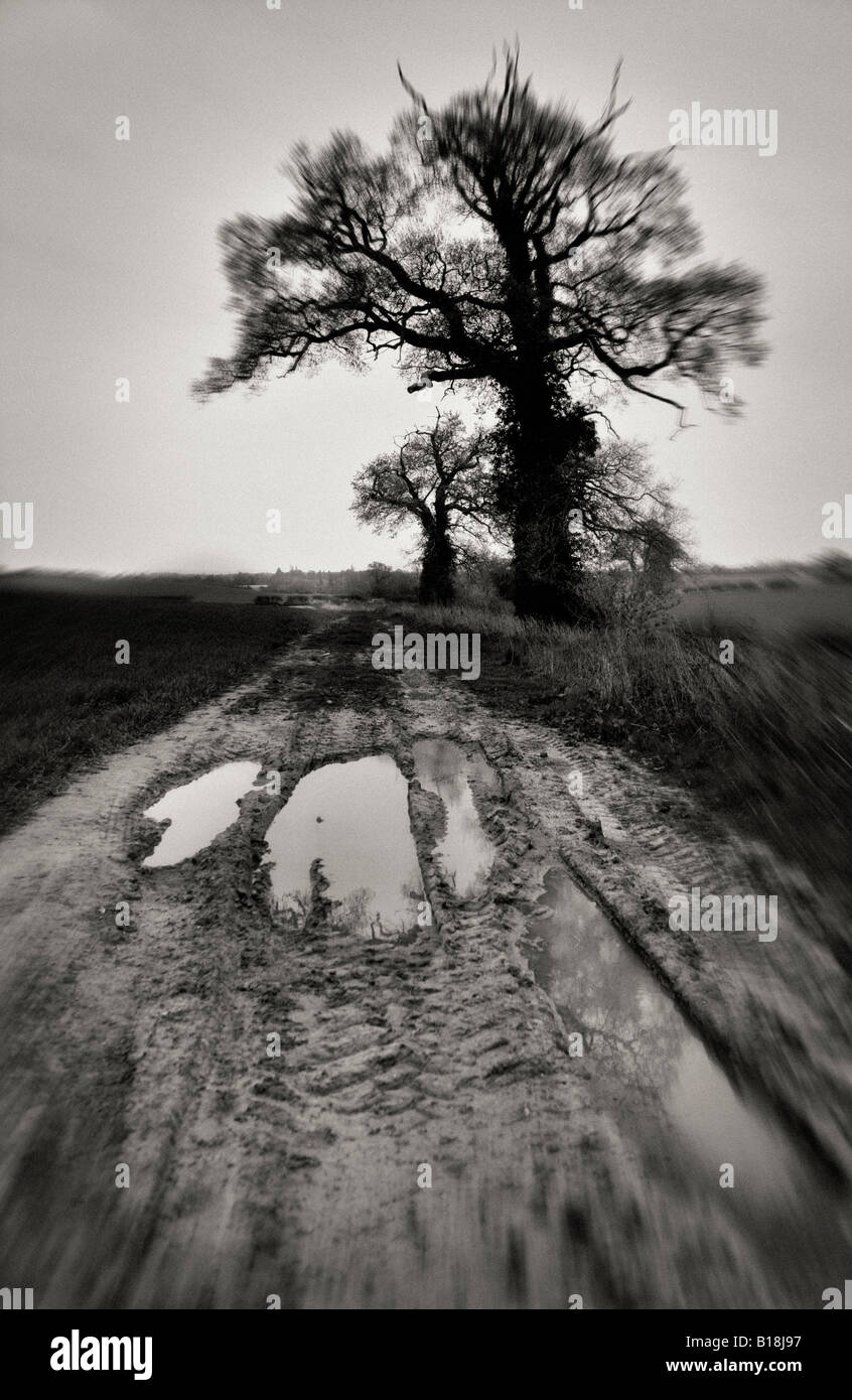 muddy track beside field Stock Photo - Alamy