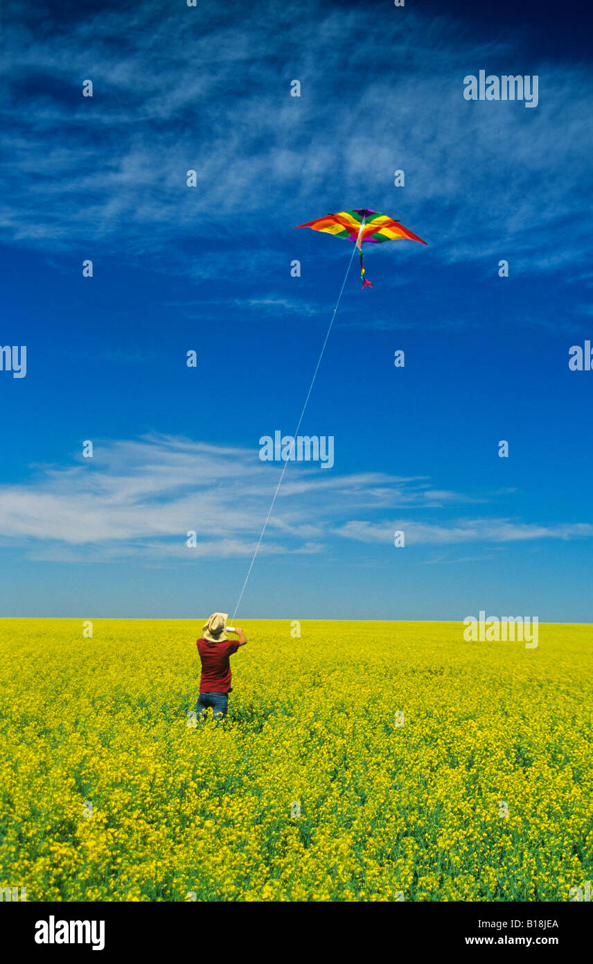 a teenage farm girl flies a kite in a bloom stage canola field, near ...