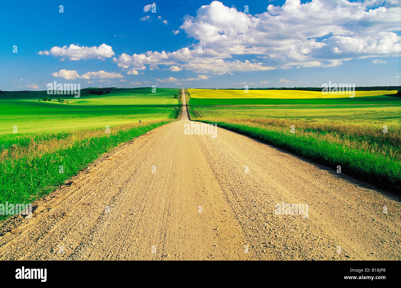 road through farmland, Tiger Hills, Manitoba, Canada Stock Photo - Alamy