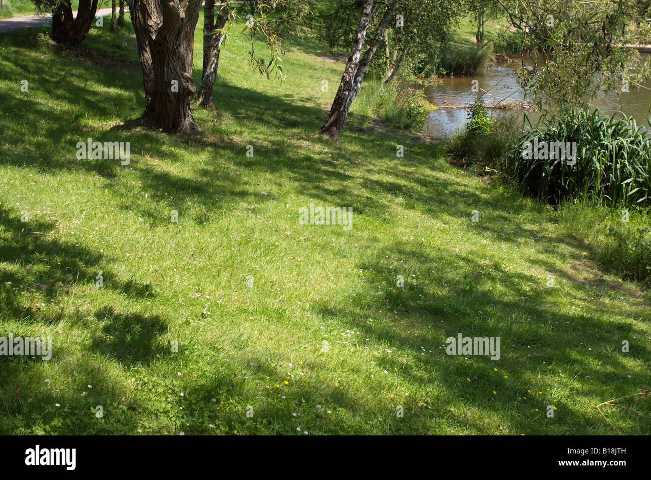 Dappled light lake side in Goldsworth Park Woking Surrey England June ...