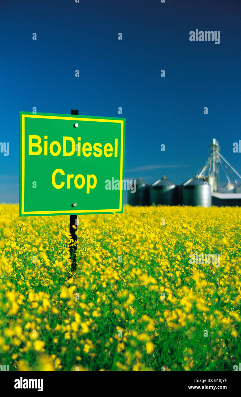 Biodiesel sign in canola field hi-res stock photography and images - Alamy