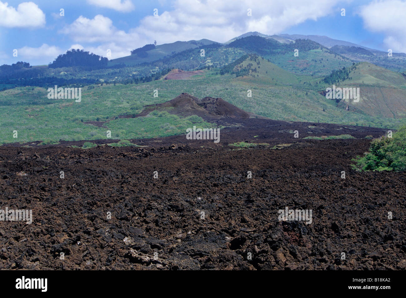 Puu olai hi-res stock photography and images - Alamy