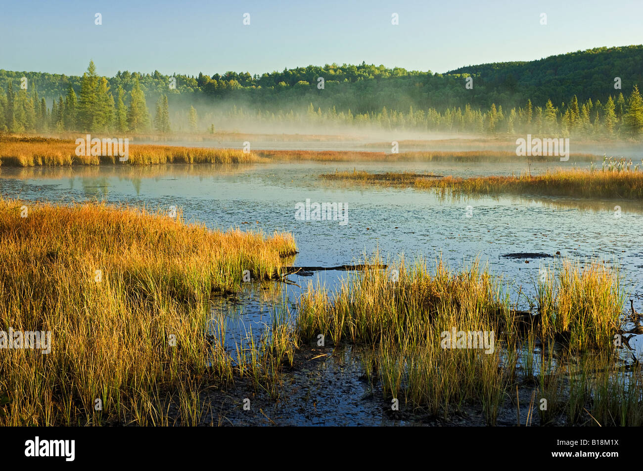 Algonquin provincial park opeongo lake hi-res stock photography and ...