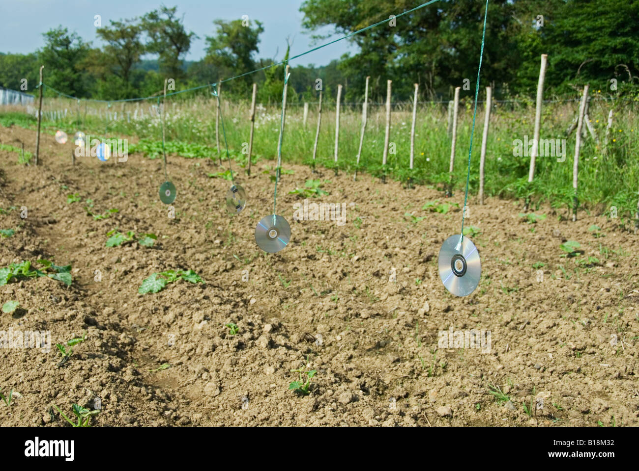Bird scarers hi-res stock photography and images - Alamy