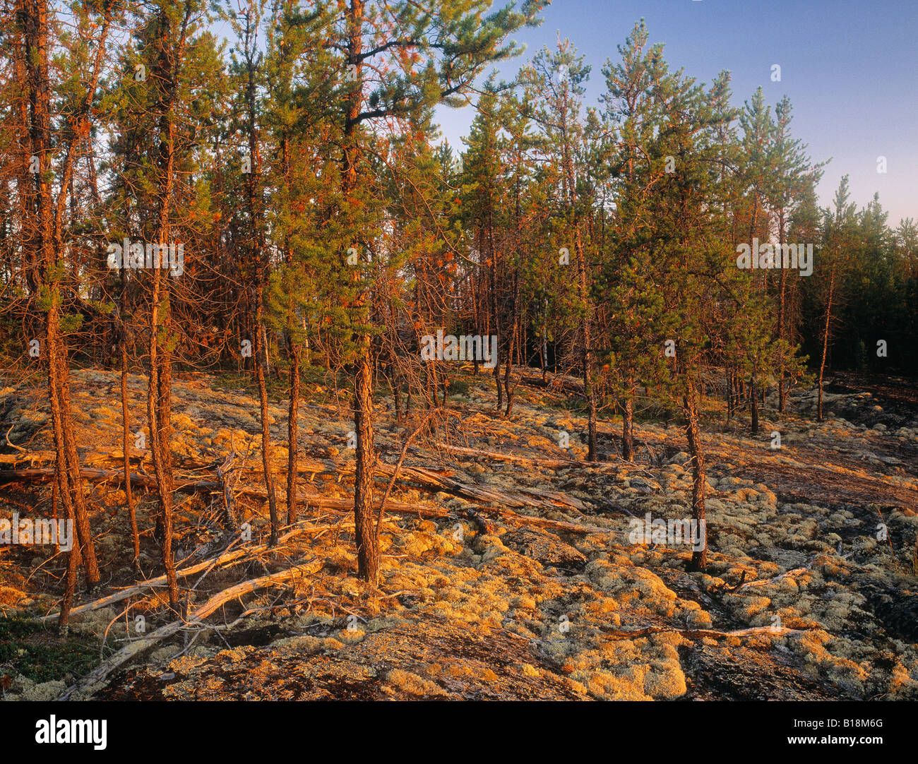 Ingraham hi-res stock photography and images - Alamy