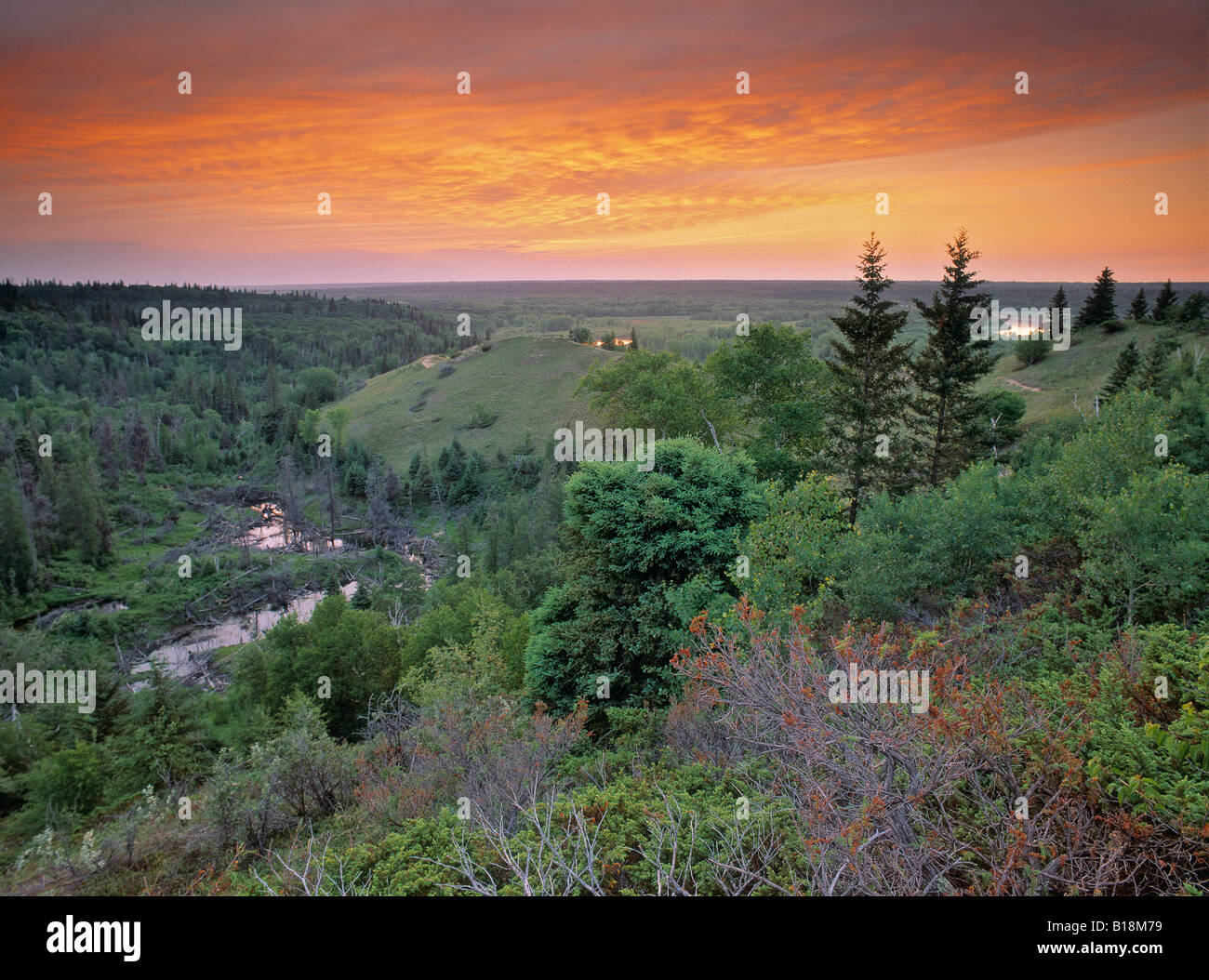 Hogsback area hi-res stock photography and images - Alamy