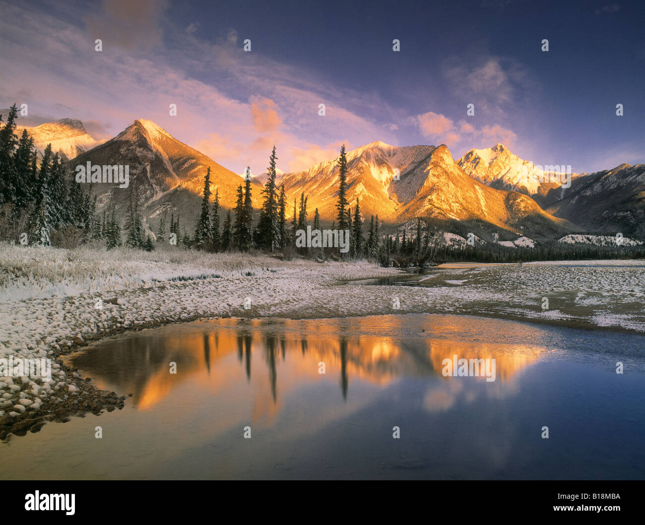 Moberly flats athabasca river jasper hi-res stock photography and ...