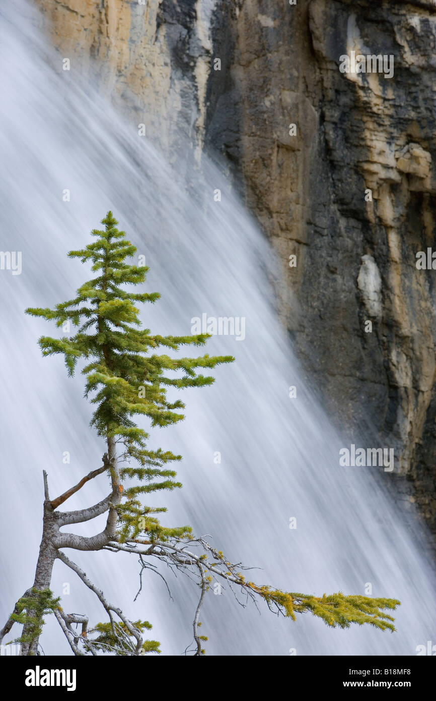 Panther Falls on Nigel Creek Banff National Park Alberta, Canada Stock ...